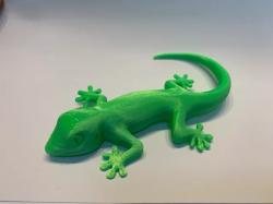 gekos 3d models 【 STLFinder