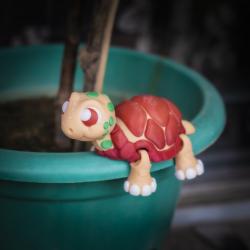 flexi truck tortoise 3D Models | Page 1 | STLFinder