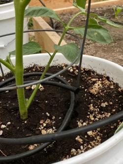 drip line plugs 3D Models | Page 1 | STLFinder