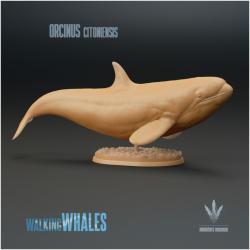 orcinus 3D Models | Page 1 | STLFinder
