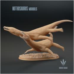 welwitschia mirabilis adaptations 3D Models | Page 1 | STLFinder