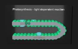 photosynthesis 3d model | Page 1 | STLFinder