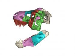 t rex mask 3D Models | Page 1 | STLFinder