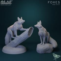 foxes com models | Page 1 | STLFinder