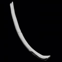 browning sign 3D Models | Page 1 | STLFinder