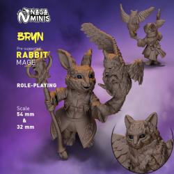 rabbit mage 3D Models | Page 1 | STLFinder