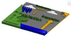 slime mold life cycle diagram 3D Models | Page 1 | STLFinder