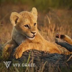 lion cub (animated) (fur) 3D Models | Page 1 | STLFinder