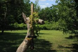 golden time netflix 3D Models | Page 1 | STLFinder