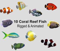 animated coral reef 3D Models | Page 1 | STLFinder