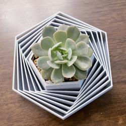 3d printed hexagon fidget | Page 1 | STLFinder