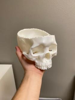 decoration ideas for skull bowl pinterest 3D Models | Page 1 | STLFinder