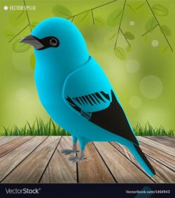 blue indigo bird 3D Models | Page 1 | STLFinder