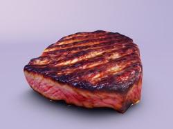 grilling steak 3d models | Page 1 | STLFinder