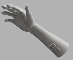 right hand reference 3D Models | Page 1 | STLFinder