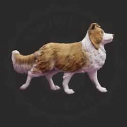 miniature border collie breeders 3D Models | Page 1 | STLFinder