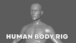 body rig 3D Models | Page 1 | STLFinder
