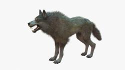 Wolf Rigged 3D Models | Page 1 | STLFinder