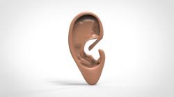 human ear 3D Models | Page 1 | STLFinder