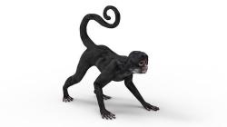 articulated spider monkey 3d model | Page 1 | STLFinder