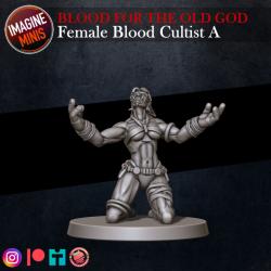 blood cultist gif 3D Models | Page 1 | STLFinder