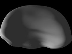 anatomy blender kit 3D Models | Page 1 | STLFinder