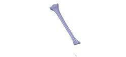tibia bone 3D Models | Page 1 | STLFinder