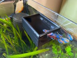 betta house single 3D Models | Page 1 | STLFinder