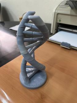 helix 3d model | Page 1 | STLFinder
