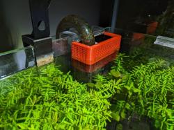 hob overflow box 3D Models | Page 1 | STLFinder