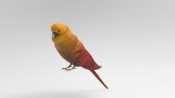 father parrot mother parrot and son parrot drawing 3D Models | Page 1 ...
