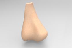human nose 3D Models | Page 1 | STLFinder
