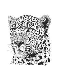 cheetah texture pack 3D Models | Page 1 | STLFinder