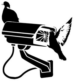 birds eye view tits bikini top 3D Models | Page 1 | STLFinder