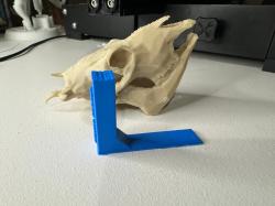 brahmin fallout 3D Models | Page 1 | STLFinder