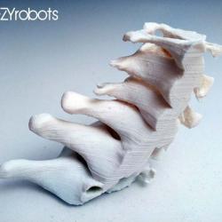 3d printed spine | Page 1 | STLFinder