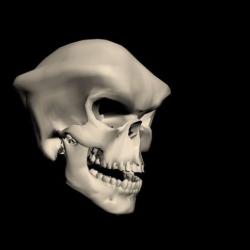 alien skull 3D Models | Page 1 | STLFinder