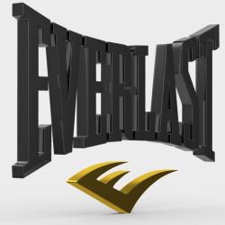 everlast logo 3D Models | Page 1 | STLFinder