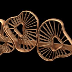 fungi 3D Models | Page 1 | STLFinder