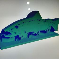 trout 3D Models | Page 1 | STLFinder