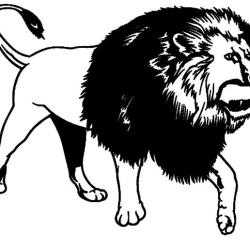 free x ray clipart printables 3D Models | Page 1 | STLFinder