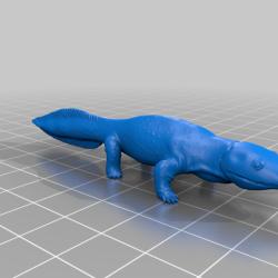 template by devhunters com hynerpeton bassetti 3D Models | Page 1 ...