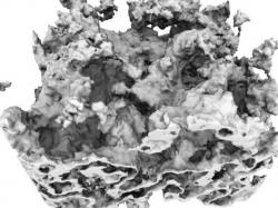 3D Texture Perlin Noise 3D Models | Page 1 | STLFinder