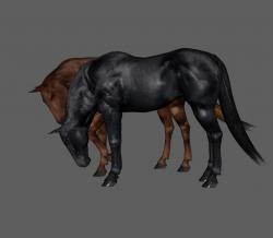7 horses images 3d model | Page 1 | STLFinder