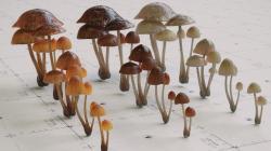 emissive textures 3D Models | Page 1 | STLFinder