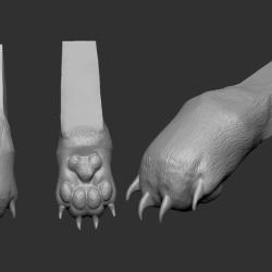 cat paw socks nsfw 3D Models | Page 1 | STLFinder