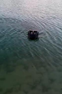 carp fishing bait boat stl 3D Models | Page 1 | STLFinder