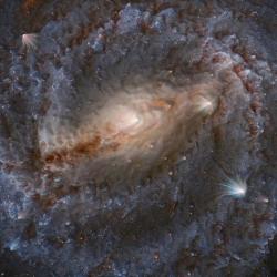 ngc 5643 spiral galaxy with lacy dust clouds and pink star regions 3D ...