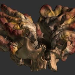 deformed skull 3D Models | Page 1 | STLFinder