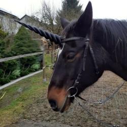 pony eggbutt snaffle horse bit with copper roller and inlay 3D Models ...